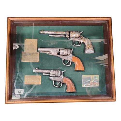 REVOLVER DISPLAY CASE