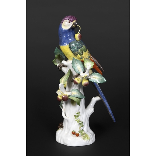 MEISSEN PARROT 20thc, the Parrot brightly painted and holding a cherry ...