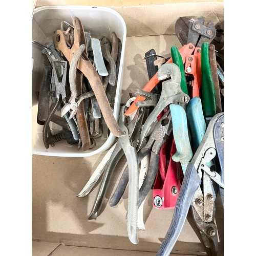 TRAY OF PLIERS, SNIPS, CUTTERS, RIVET TOOLS ETC