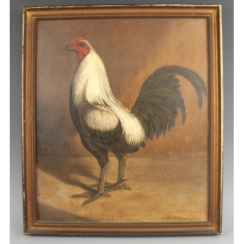 Herbert Atkinson (British c1863-1936), Portrait of a fighting cock, Oil ...
