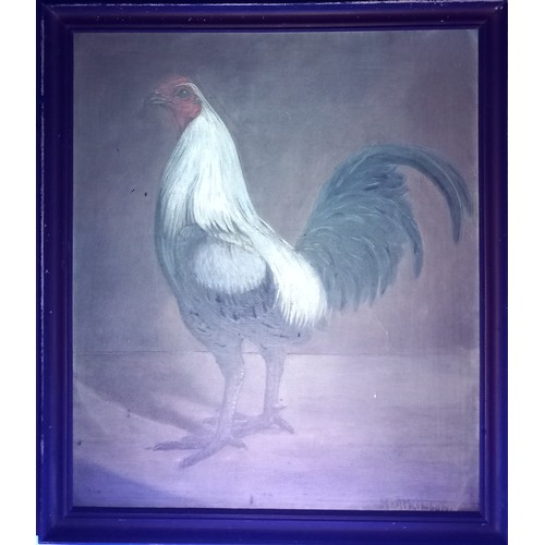 Herbert Atkinson (British c1863-1936), Portrait of a fighting cock, Oil ...