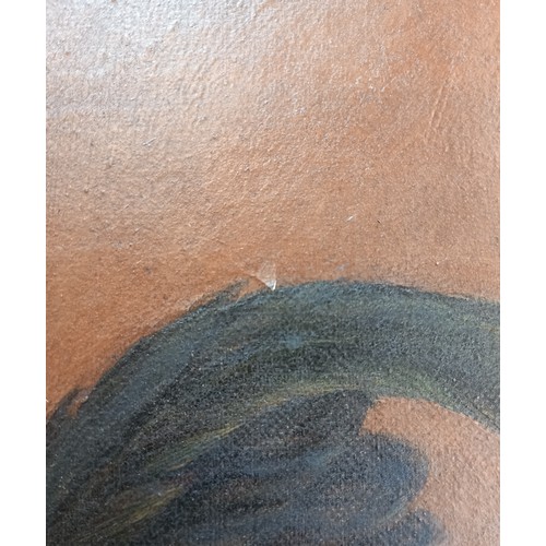 Herbert Atkinson (British c1863-1936), Portrait of a fighting cock, Oil ...