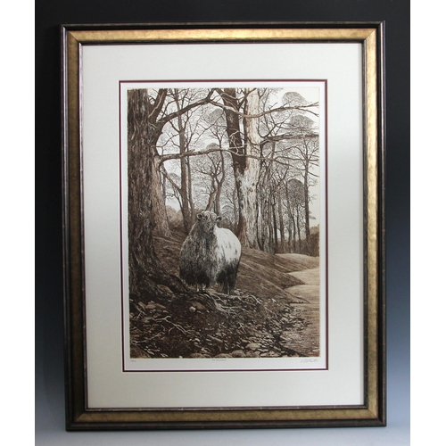 David Beattie (British, b.1955), 'The Oddmedodd', Limited edition print ...