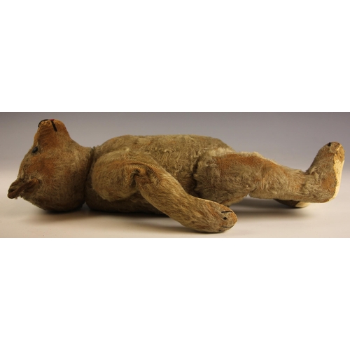 'Birty', a Steiff centre seam teddy bear, early 20th century circa 1910 ...