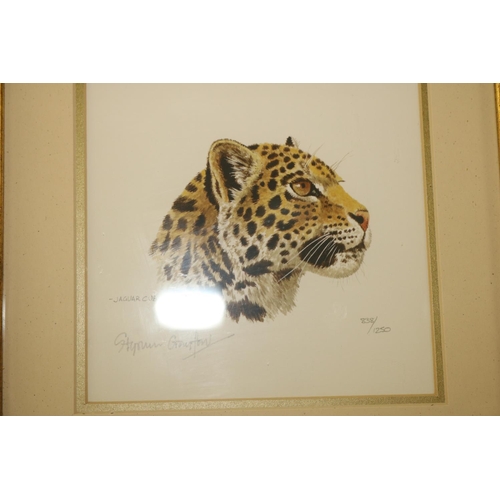 STEPHEN GAYFORD SIGNED PRINT OF PAIR OF JAGUARS