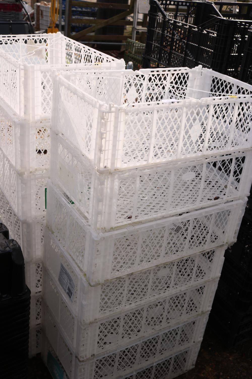 20 white crates