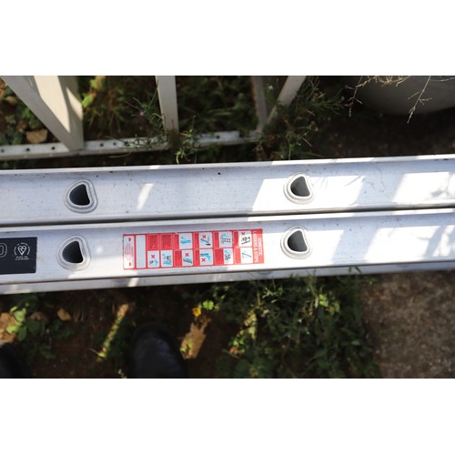 Youngman extension ladder with ladders stand off