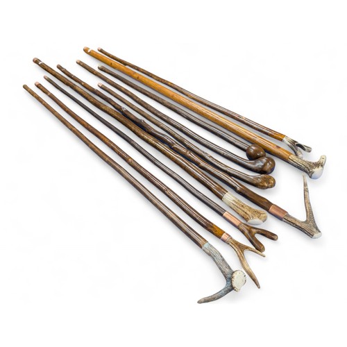 Group (10) Mostly Large Antler Tipped Walking Canes, Appx 140cm With ...