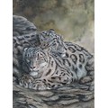 David .A. Scott Original Artwork Clouded Leopard Pair at Rest ...