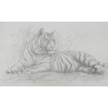 David. A. Scott wildlife study, a large original pencil drawing on ...