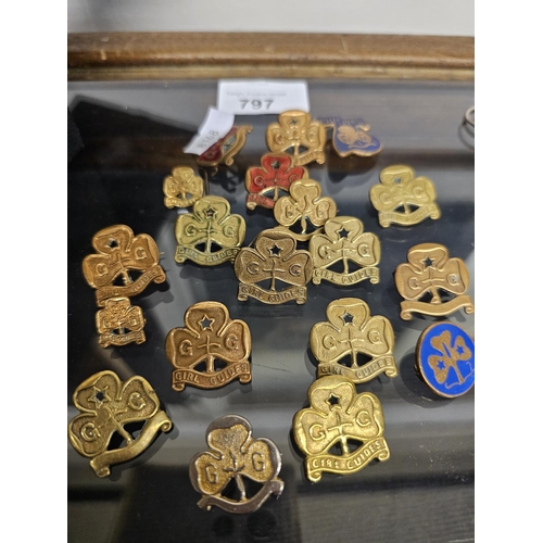 Collection of 12 Girl Guide badges