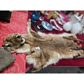 Real fur pelt from a wild cat