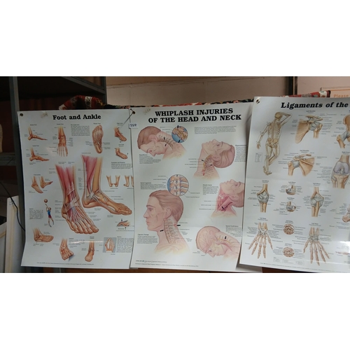 anatomical charts illustrating different parts of the human body and ...