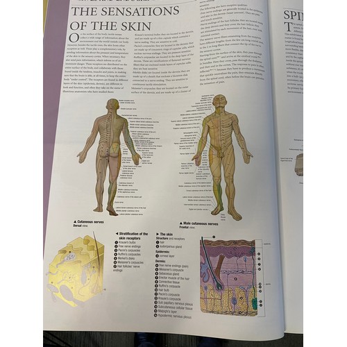 Giant sized book on human anatomy 60x43cms