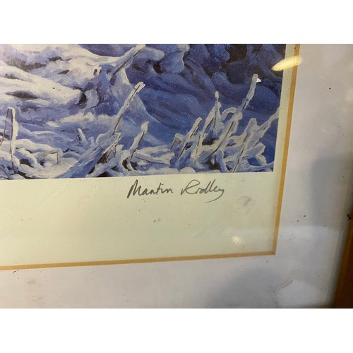 Signed limited edition print no. 310/450 'Pheasant Finery' by Martin ...
