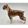 BESWICK Large 14cm MODEL OF A BOXER DOG "CH BLUE MOUNTAIN GRETA ...