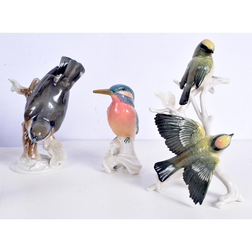 A collection of Ceramic German birds 18 cm (7)