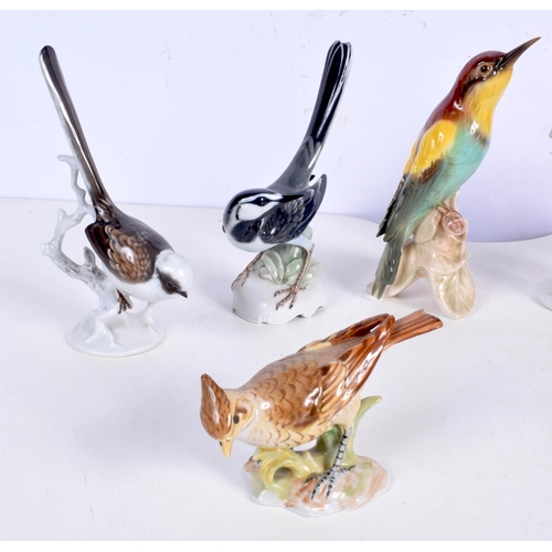 A collection of Ceramic German birds 18 cm (7)