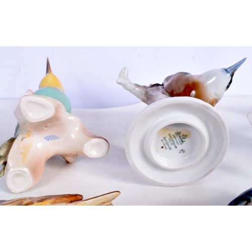 A collection of Ceramic German birds 18 cm (7)