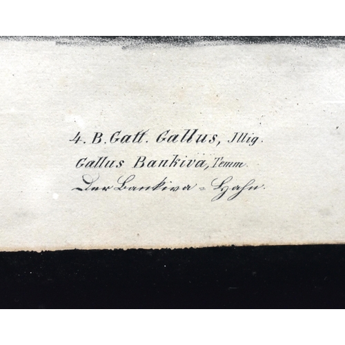 Georg August Goldfuss (German 1782-1848) framed lithograph of jungle ...