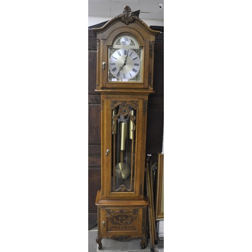 TEMPUS FUGIT GRANDFATHER CLOCK
