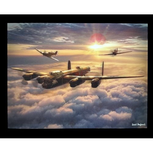 3D colour print by David Penfound titled Memorial Flight. Measures ...