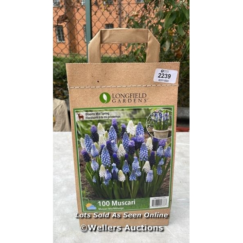 LONGFIELD GARDENS BULBS - X100 MUSCARI - NEW / D28