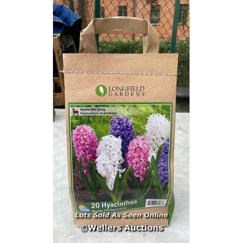 LONGFIELD GARDENS BULBS - X20 HYACINTHUS - NEW / D30