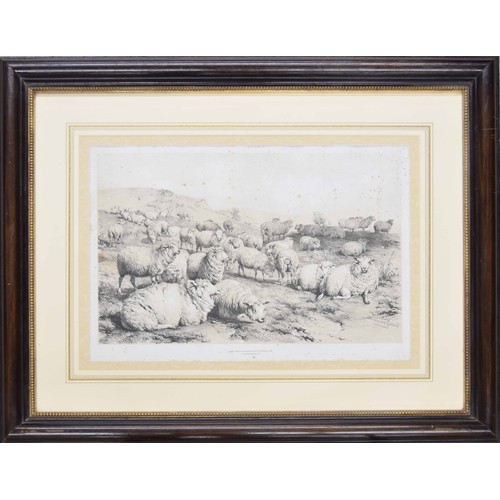 After Thomas Sidney Cooper - Flock of Sheep on a Hillside, inscribed ...