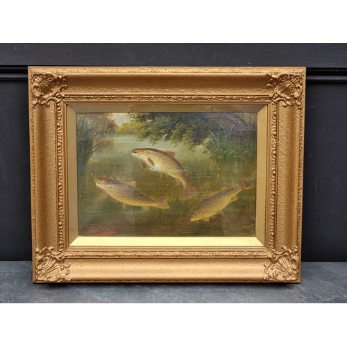 Arthur Rowland Knight, 'Trout', signed, oil on canvas, 24 x 34cm.