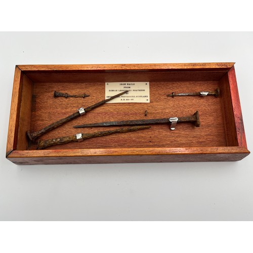 Small display case of Iron Nails from Roman Legionary Fortress at ...