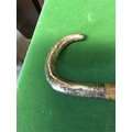 KNOBBLY WOOD WALKING STICK WITH HALLMARKED SILVER HANDLE MARKED BRIGG