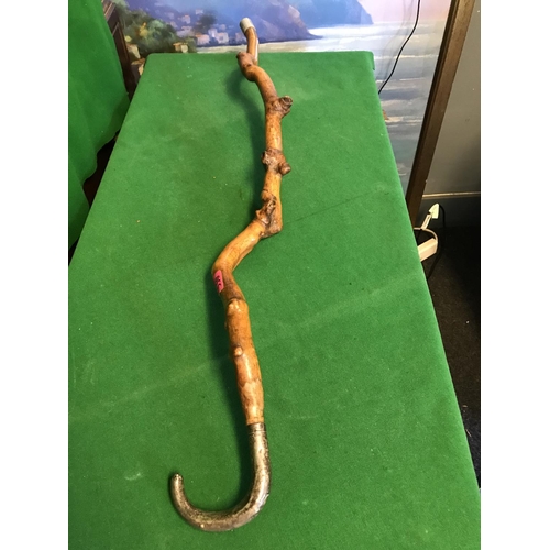 KNOBBLY WOOD WALKING STICK WITH HALLMARKED SILVER HANDLE MARKED BRIGG