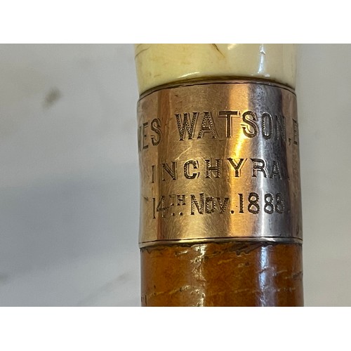 Antique Walking Stick Named To James Watson Inchyra Esq 14th Nov 1888 ...