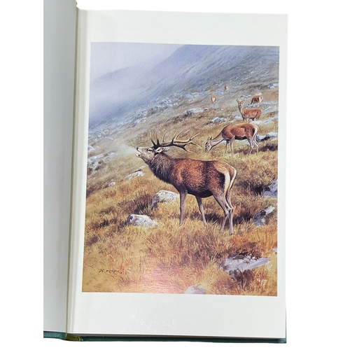 Collection of 12 Volumes of The New Fur, Feather & Fin - The Game ...