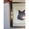 Robert T. May, Portrait of a Cat, Framed Drawing