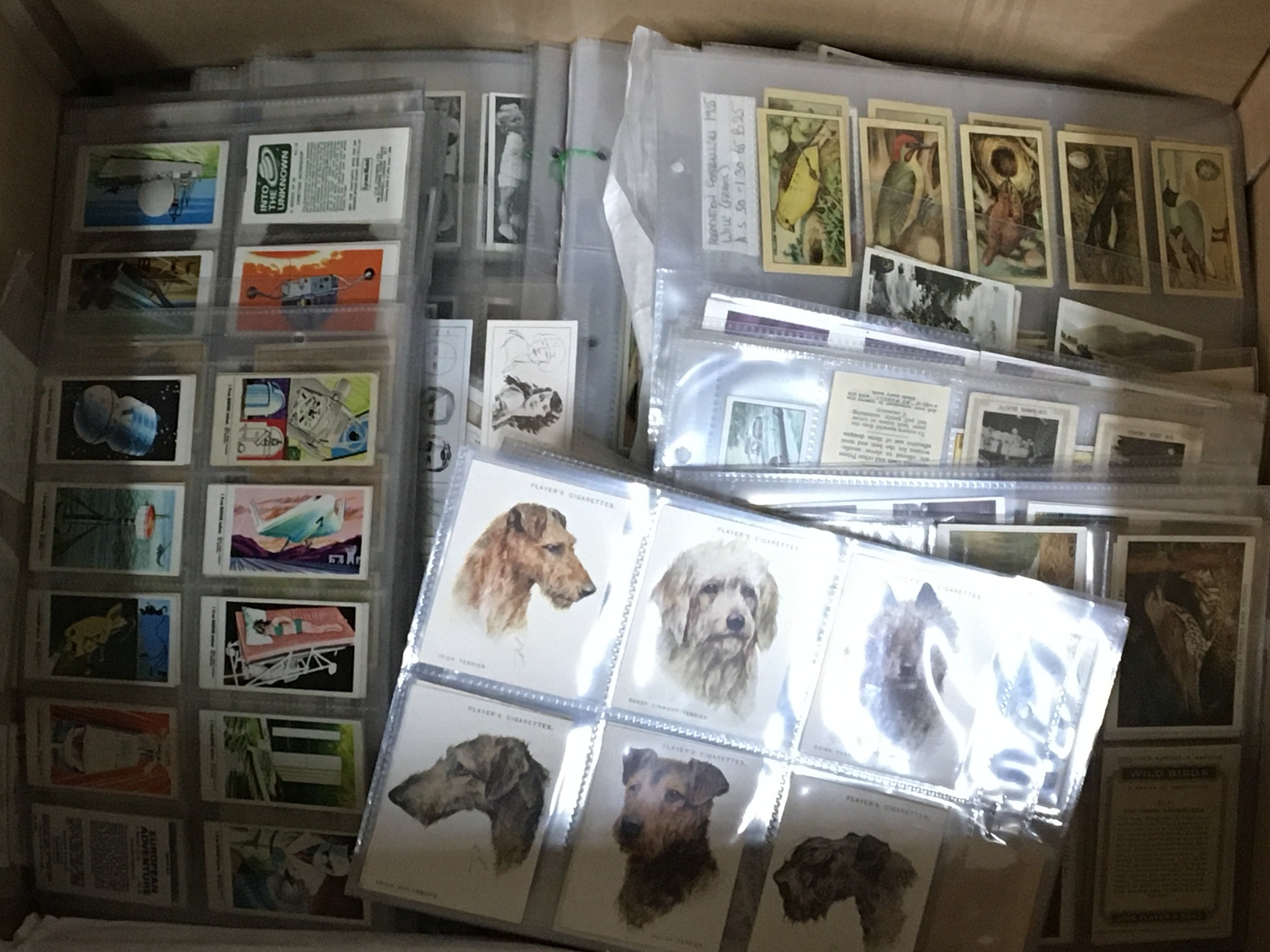 A box containing an extensive collection of Vintage Cigarette cards and ...