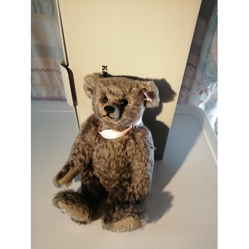 Modern Steiff teddy bear in box of issue