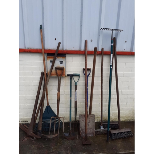 Quantity of Garden Tools - Pick Axe, Rakes, Brooms, Shovels etc.