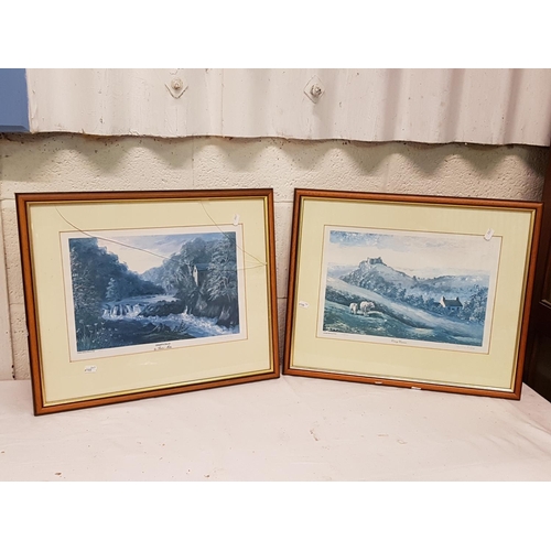 Two Framed & Glazed Prints By Pauline Miller - Limited Edition (20/520 ...