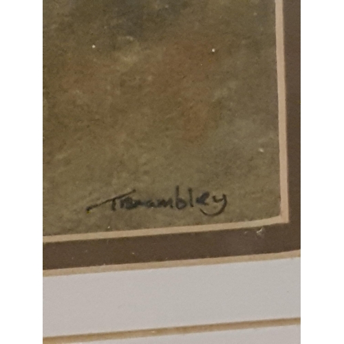 Framed & Glazed Watercolour "Pennard Castle, Gower" By Terry Brambley ...