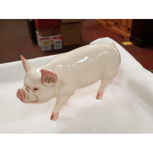 Beswick Rare Breeds Pig - Middle White Boar Model No.4117 Issued 2001 ...