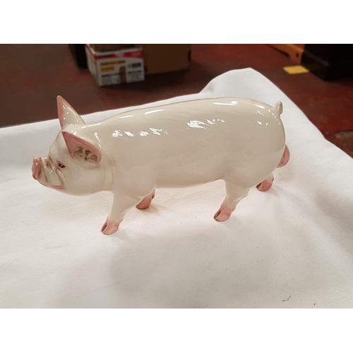 Beswick Rare Breeds Pig - Middle White Boar Model No.4117 Issued 2001 ...