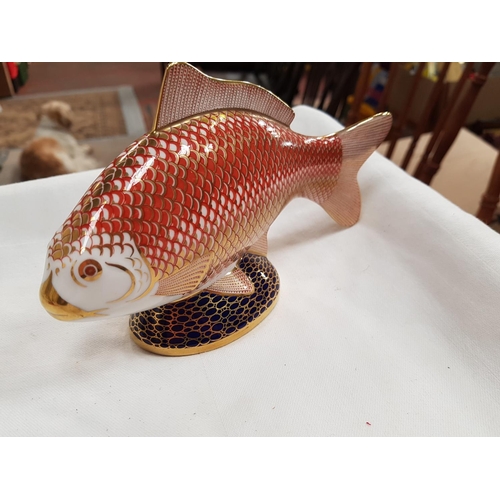 Royal Crown Derby Golden Carp Paperweight with Gold Stopper Length c ...