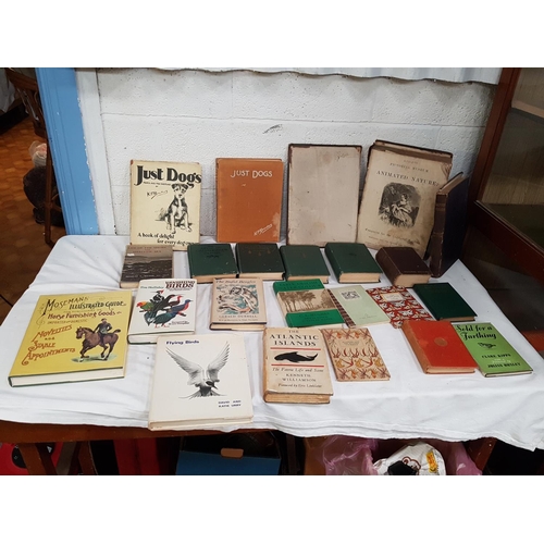 Box of Natural History Books Including Knights Animated Nature (A/F ...