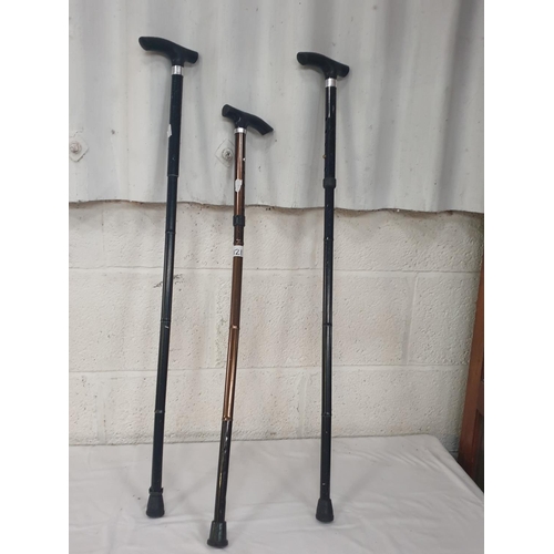 Three Adjustable Walking Sticks.