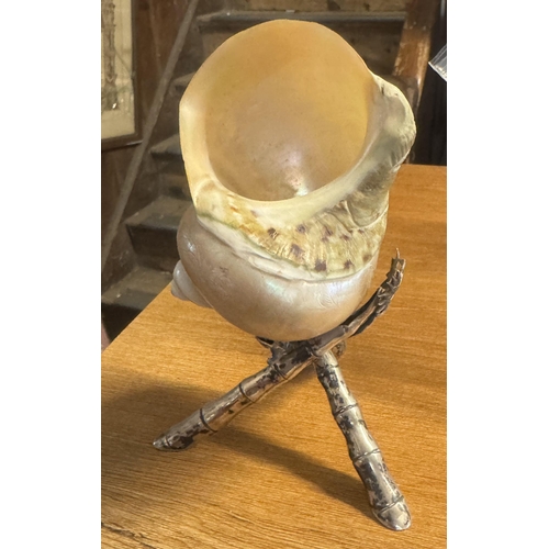 Conch shell on a silver stand