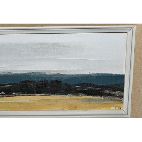 MICHAEL BARNFATHER (BRITISH 1934-) 'VIEW OVER THE SEVERN', a landscape ...
