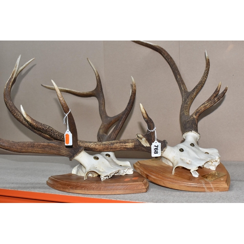 TWO PAIRS OF SHIELD MOUNTED EIGHT-POINTED STAG ANTLERS with original ...