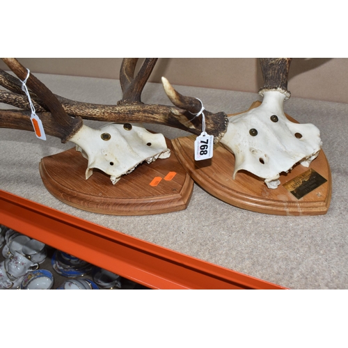 TWO PAIRS OF SHIELD MOUNTED EIGHT-POINTED STAG ANTLERS with original ...